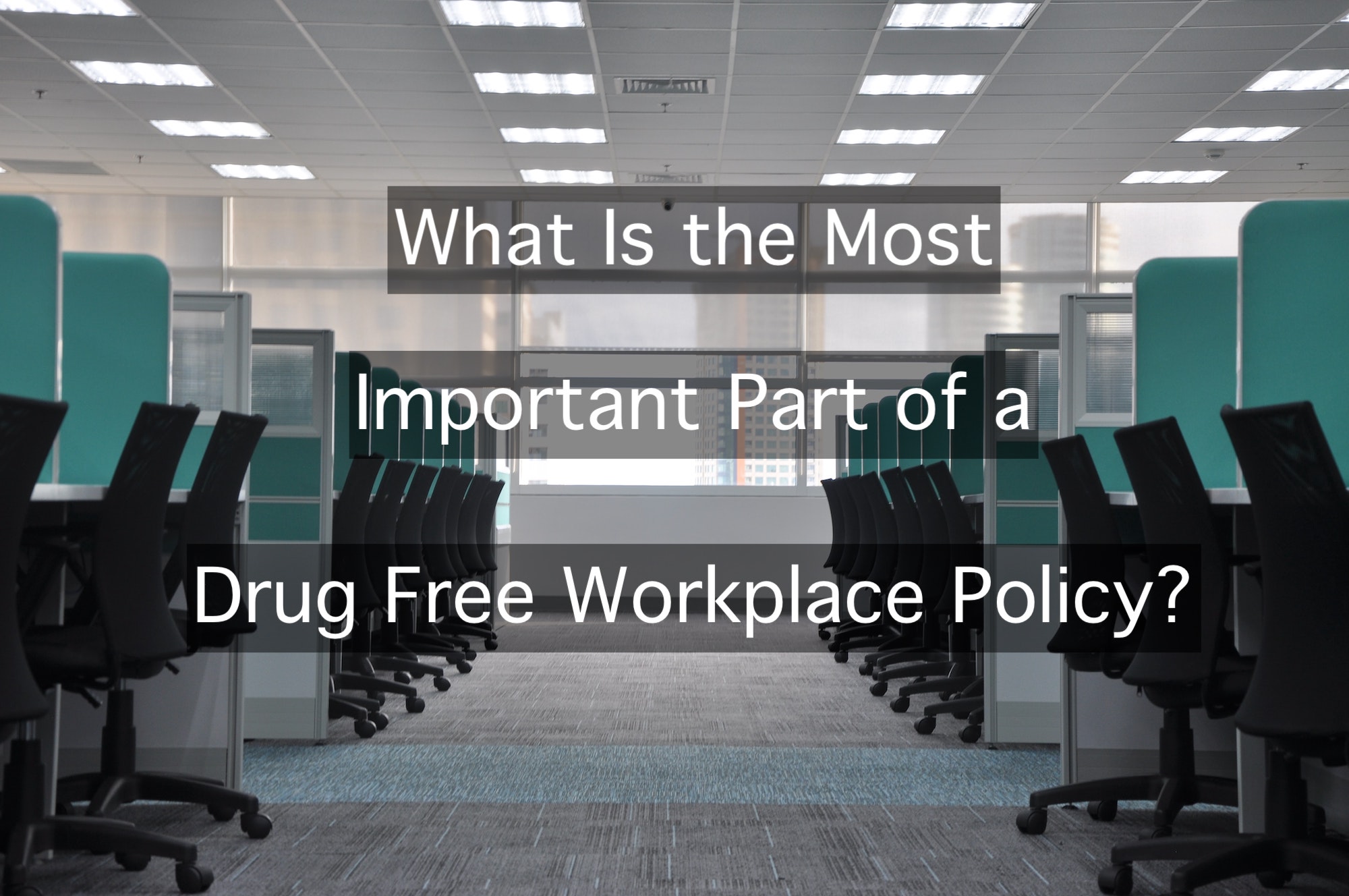 What Is the Most Important Part of a Drug Free Workplace Policy ...